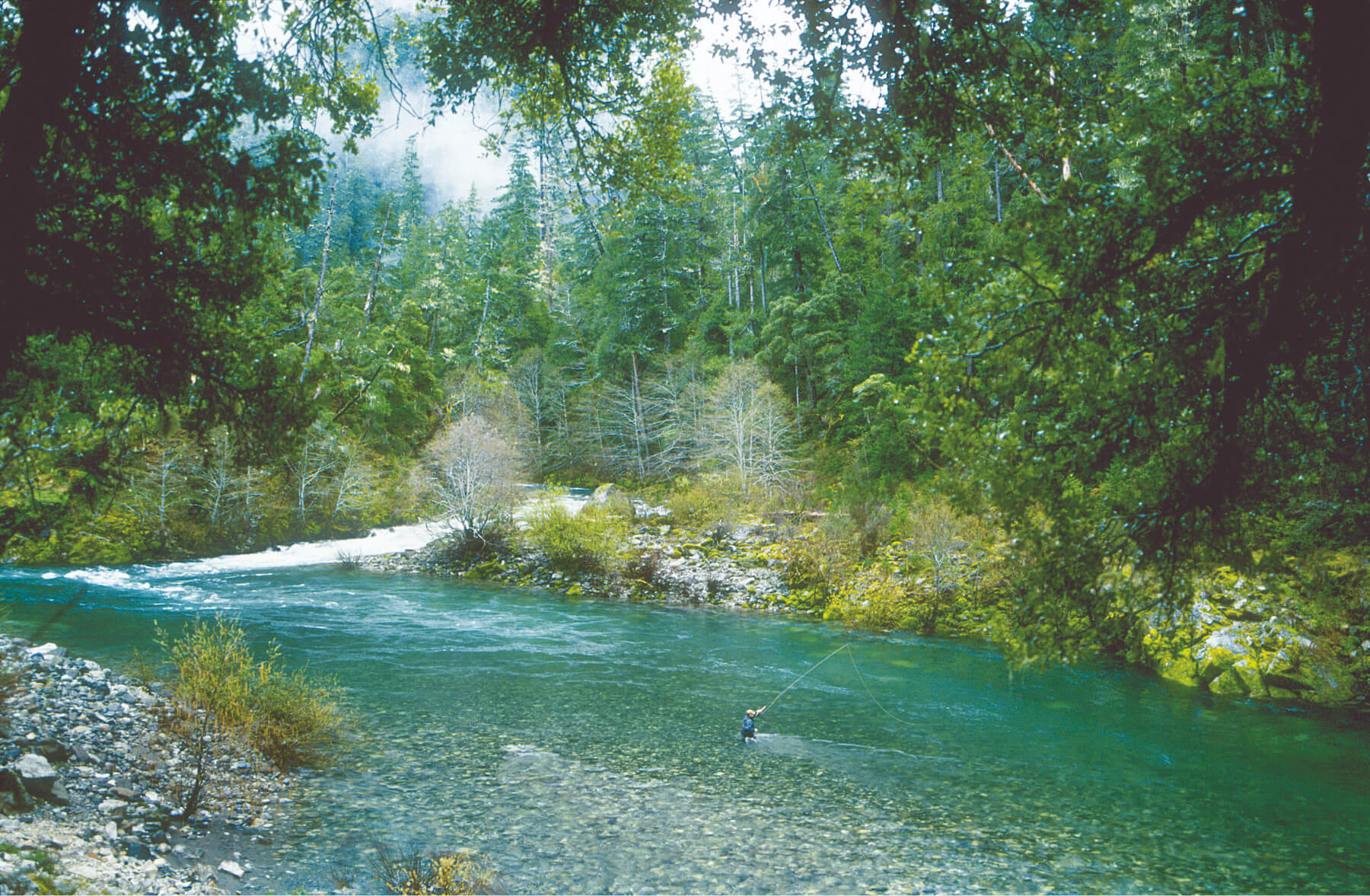 Goose Creek - Western Rivers Conservancy