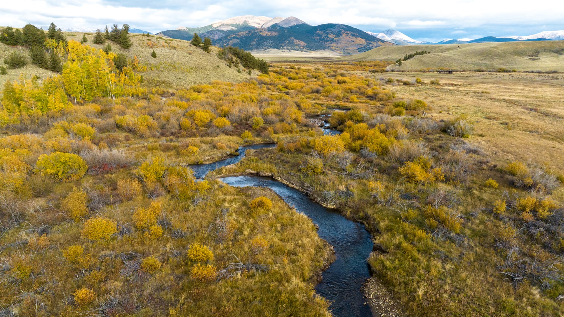 2024: A New Year's Day Wrap-Up - Western Rivers Conservancy