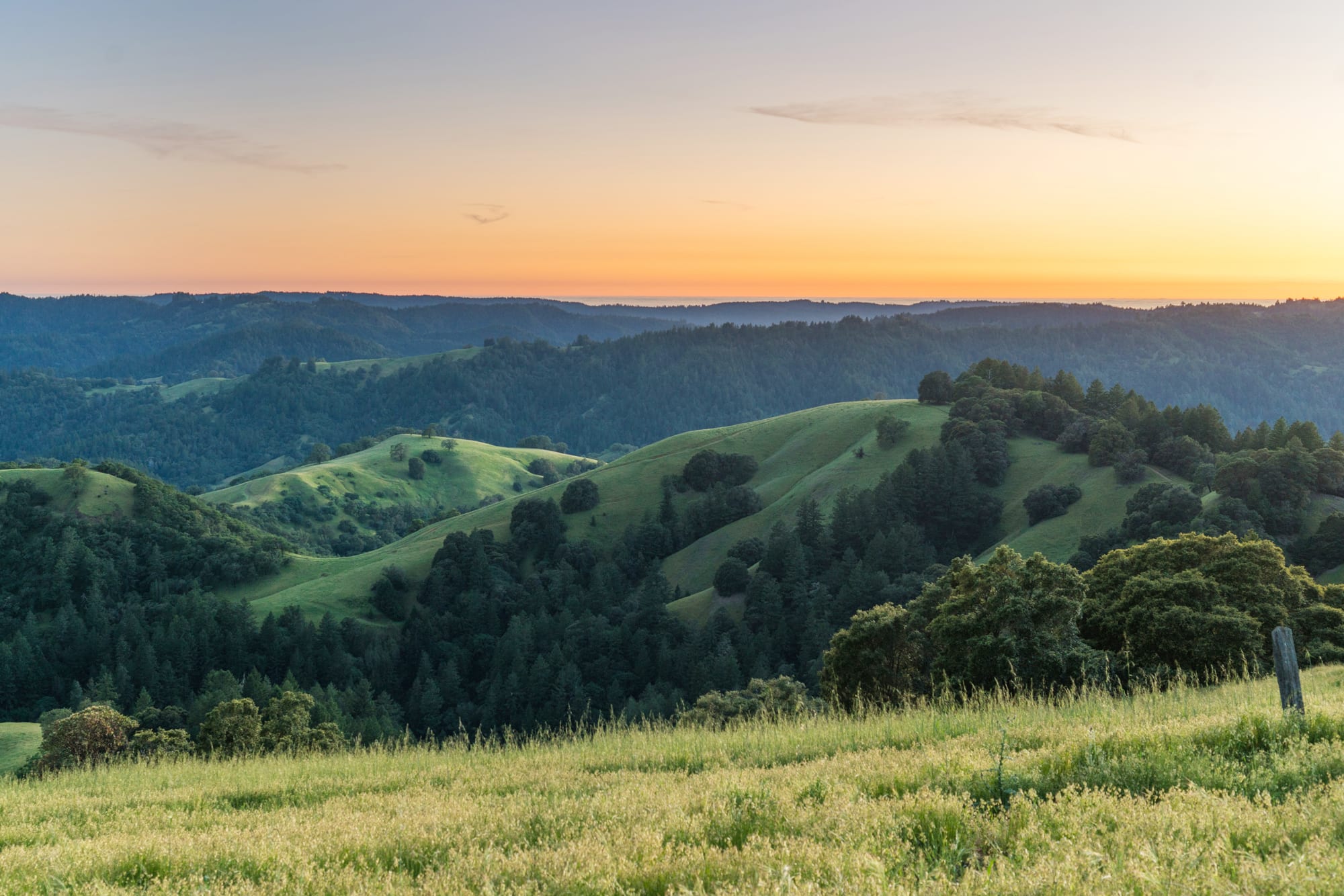Gualala River Image Gallery - Western Rivers Conservancy
