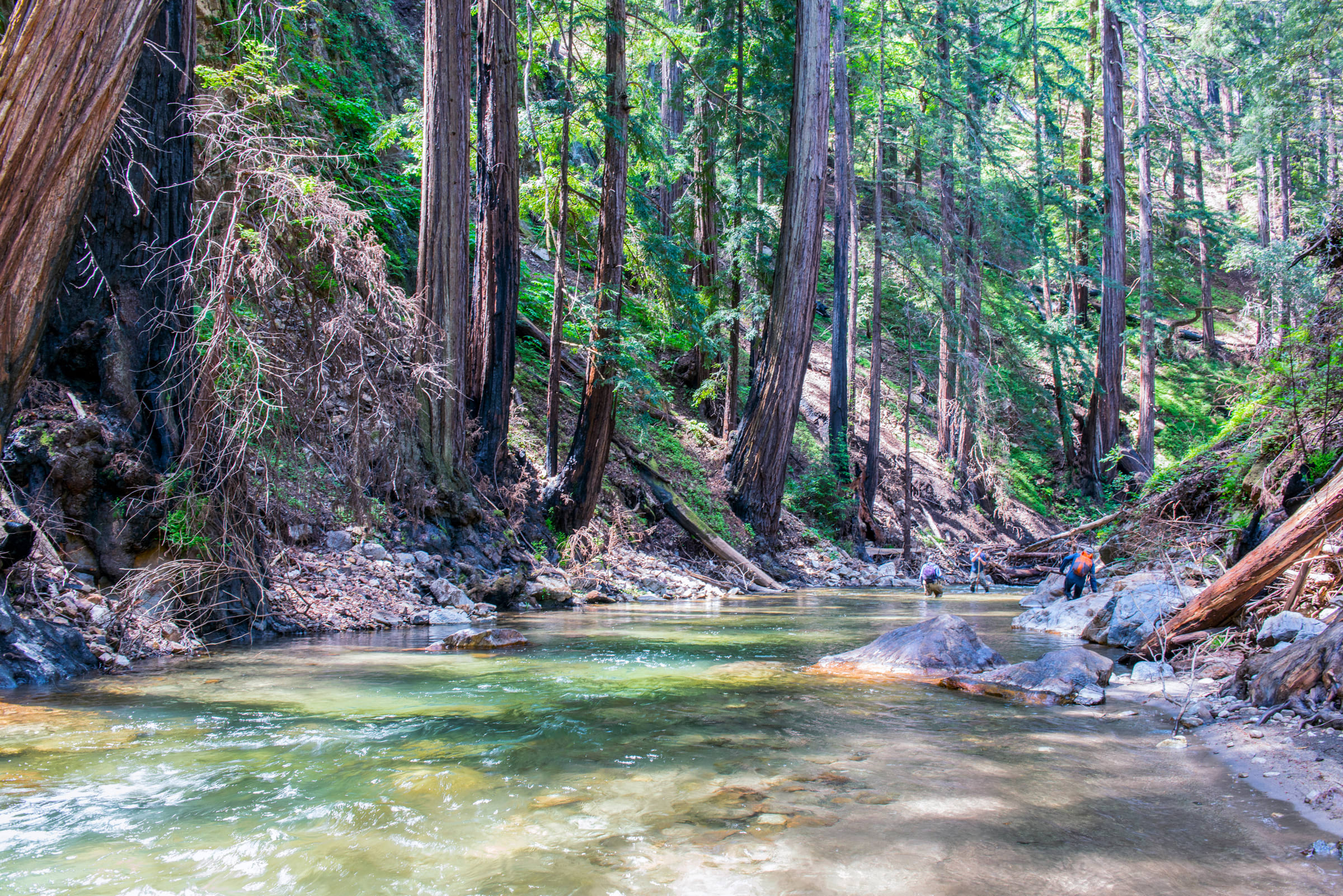 Little Sur River - Western Rivers Conservancy