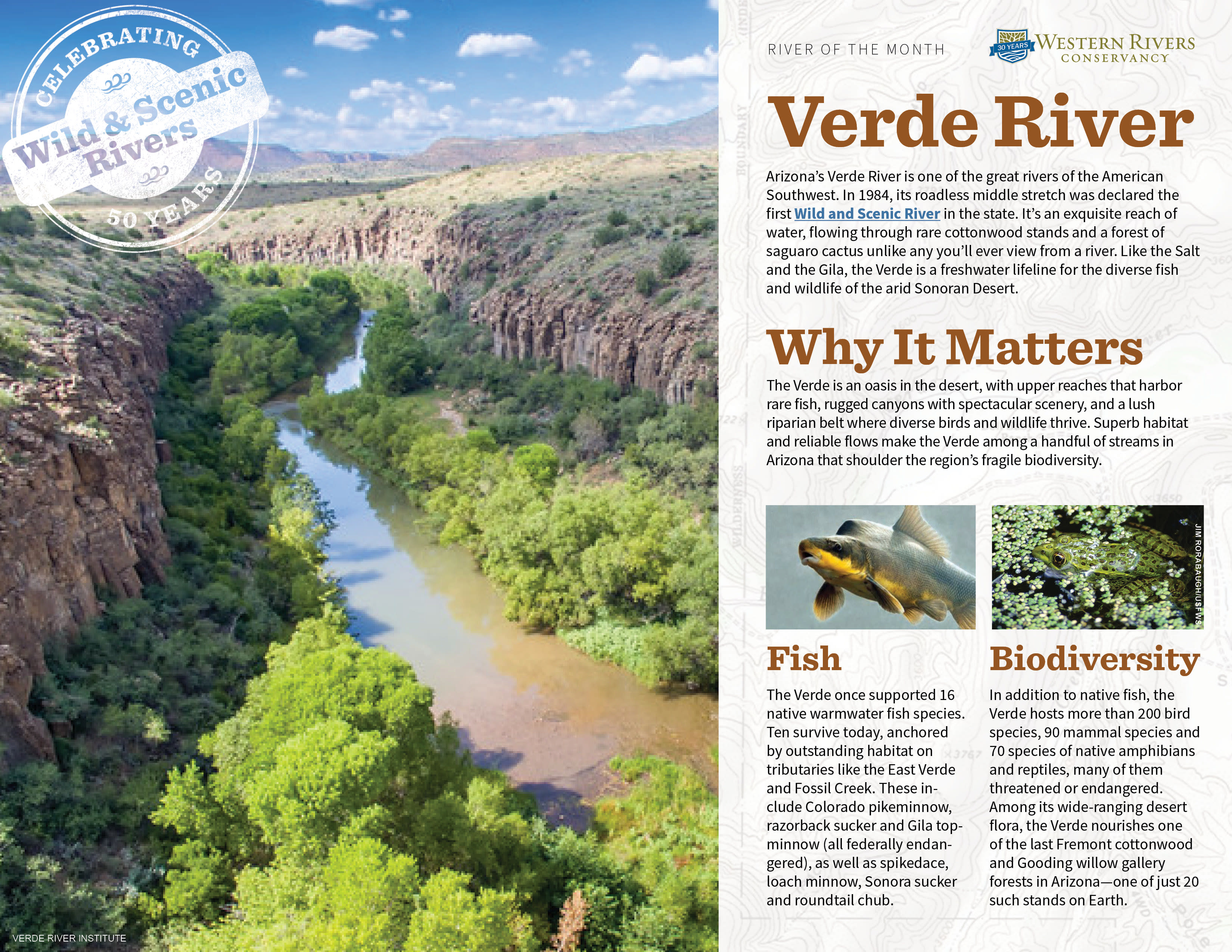 Verde River Western Rivers Conservancy