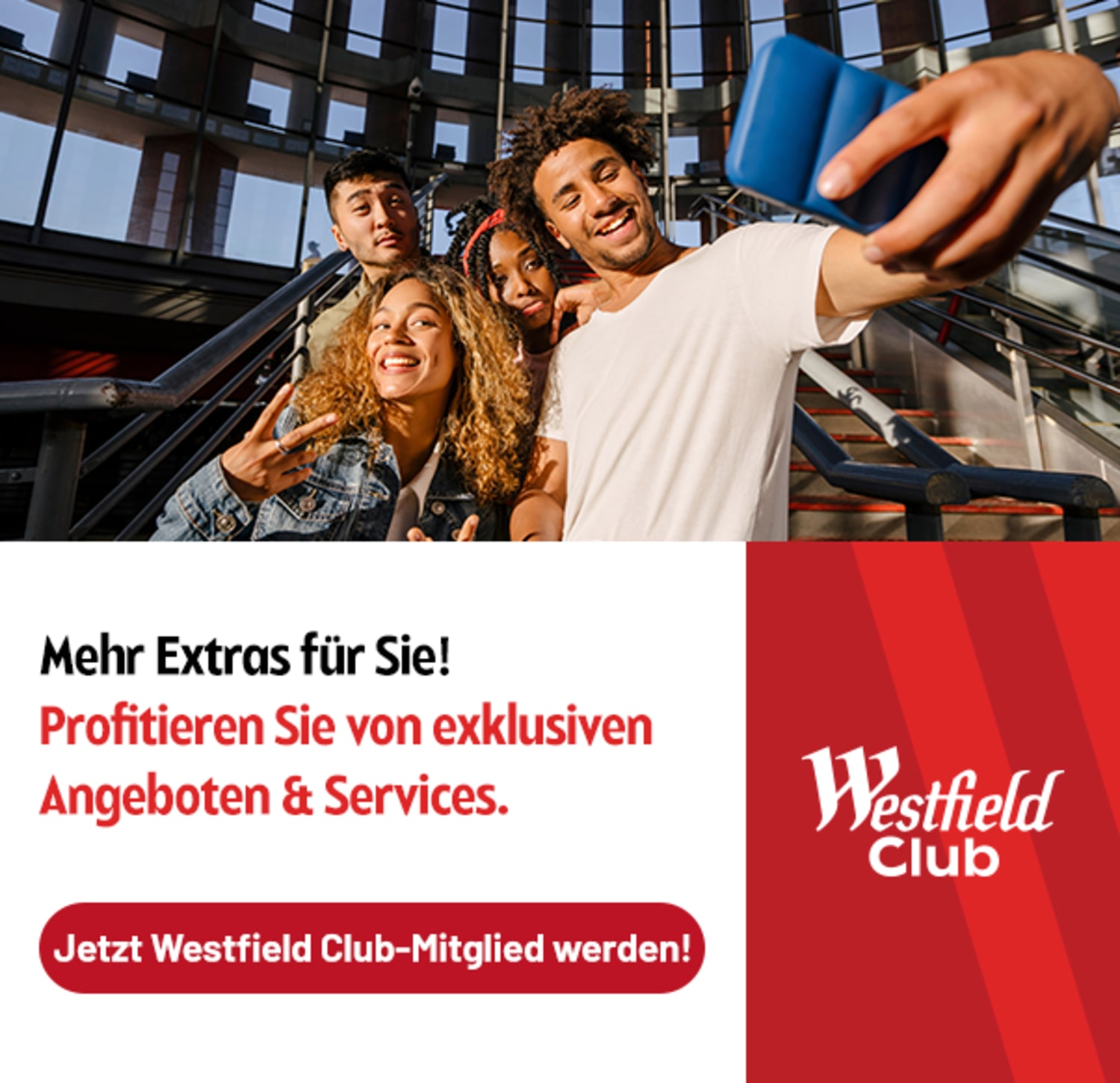 Der neue Westfield Club ist da!