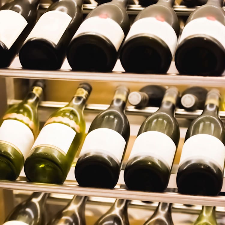 Raised by Wolves | Westfield UTC