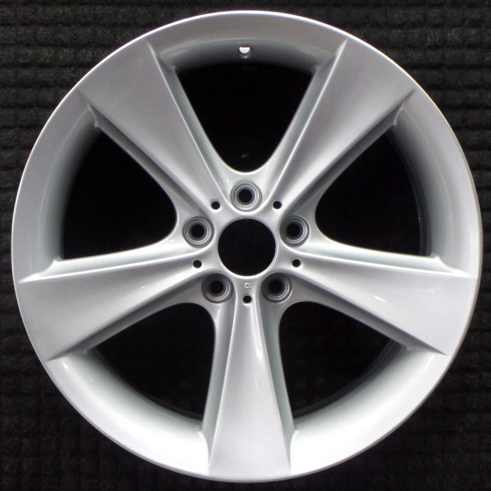 BMW 535i 2008-2010 19" OEM Wheel - Wheels America