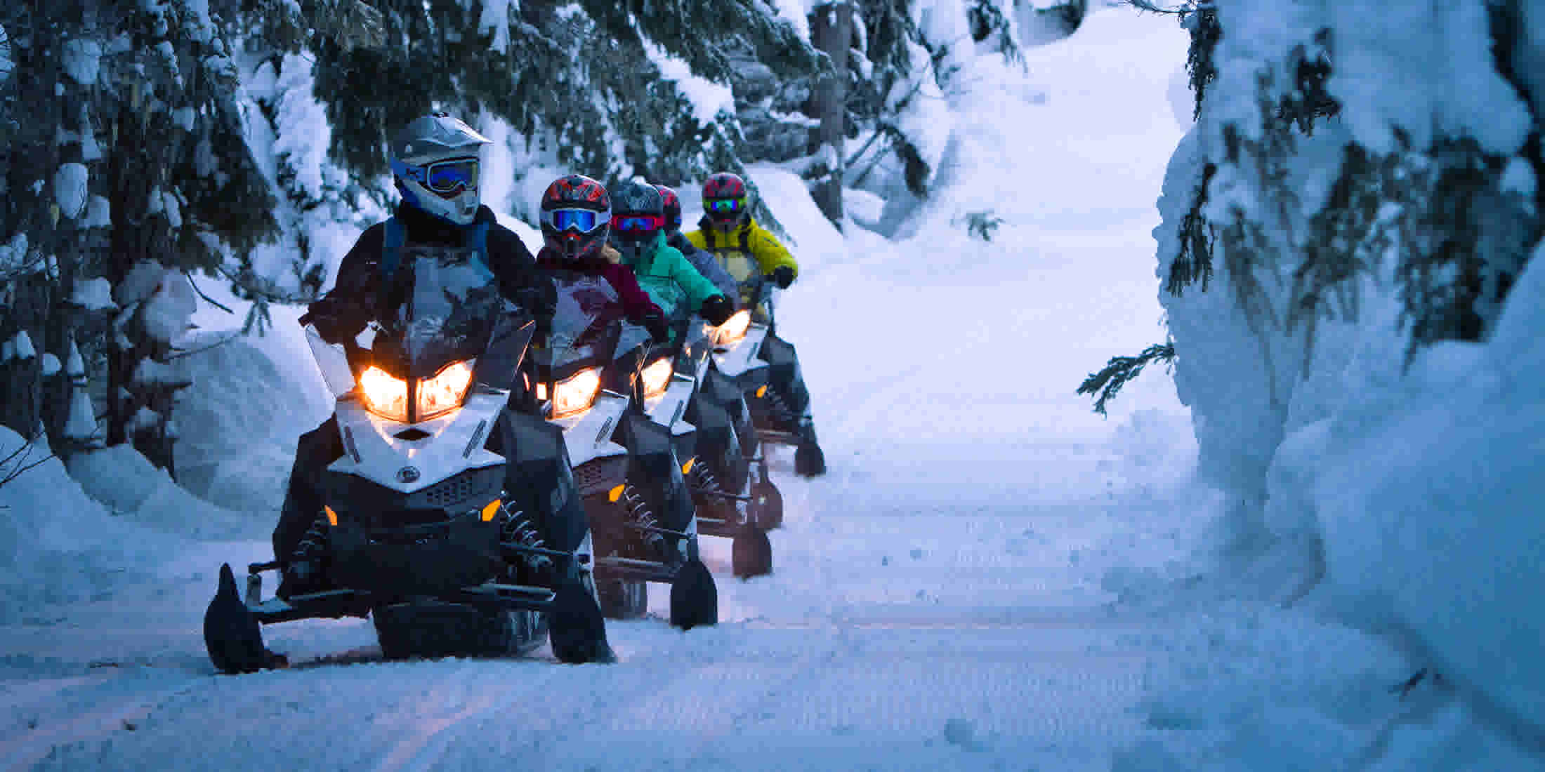 Whistler Snowmobile Tours | Tourism Whistler