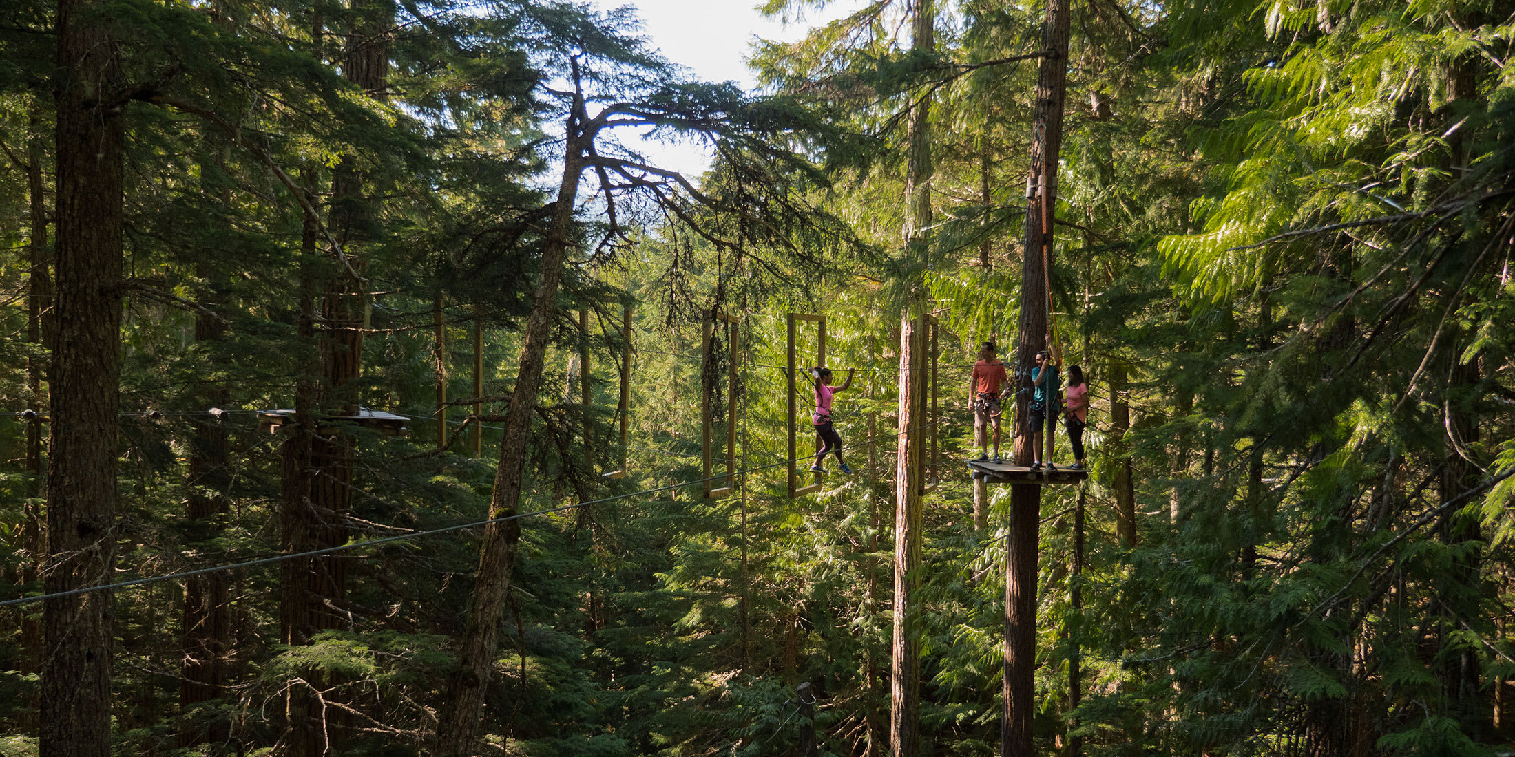 Tree Adventure Tours in Whistler | Tourism Whistler