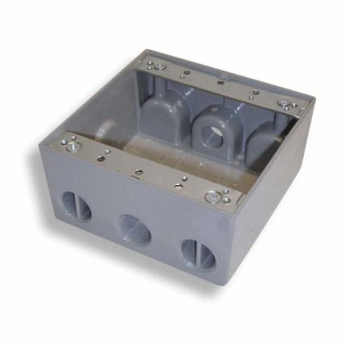 RAB 095789 D5333 3/4IN 2 GANG BOX 095789 | Bartle & Gibson Wholesale