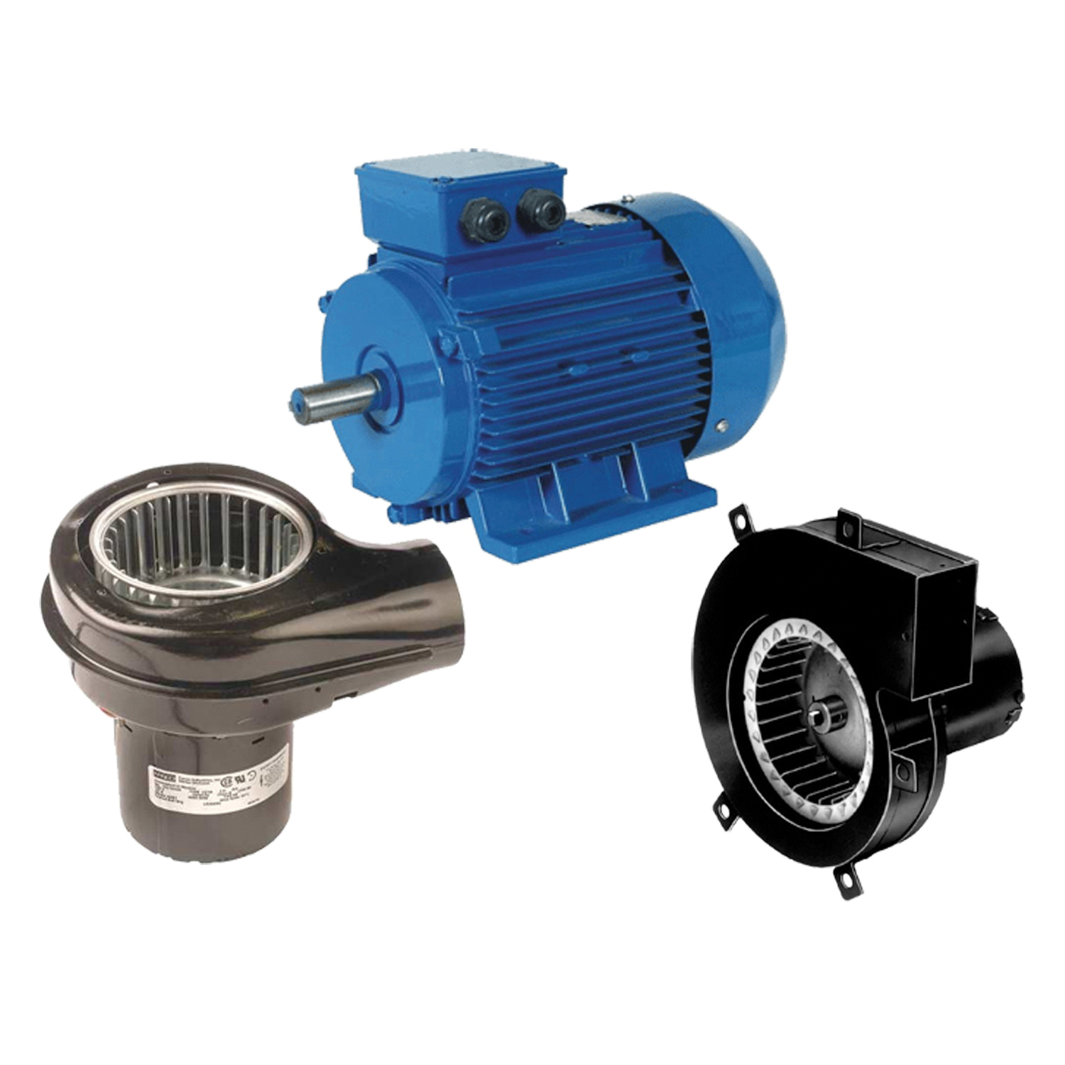 TRANE BLW00879 3-PHASE BLOWER MOTOR | Bartle & Gibson Wholesale