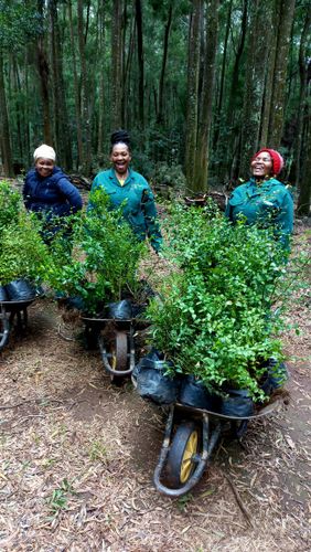 We encourage local communities in South Africa to embrace the Cape ...