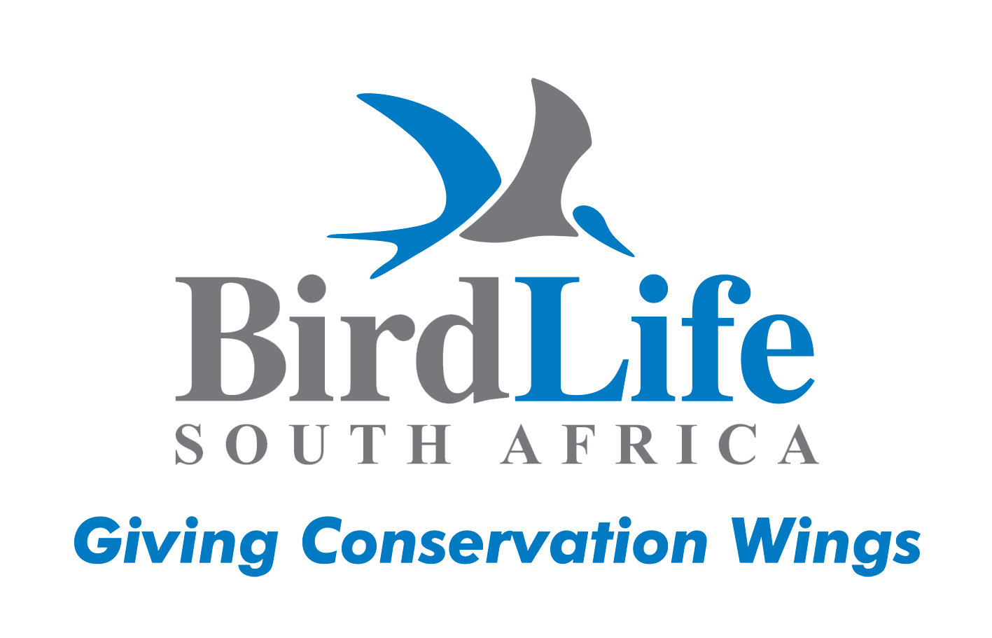 Conservation Conversations: Bird of the Year 2023 Cape Parrot