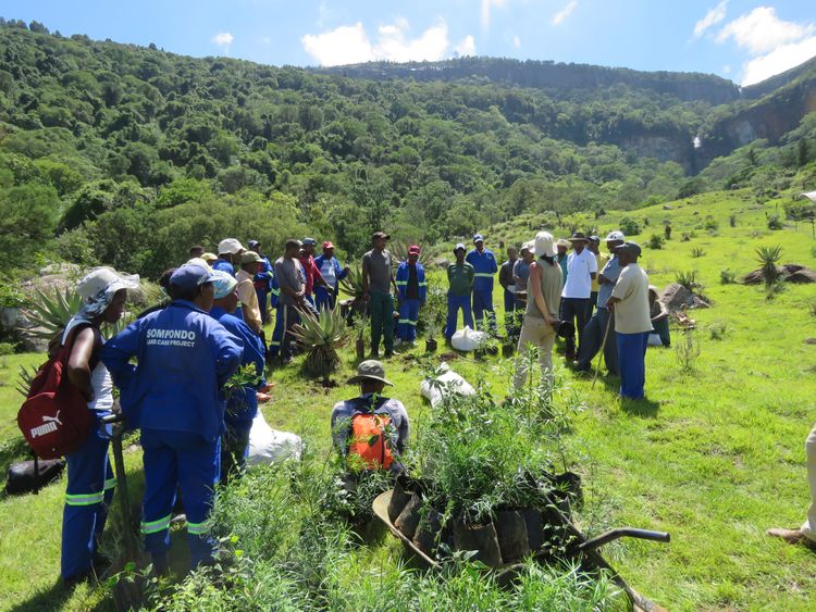 Your contribution adds to: