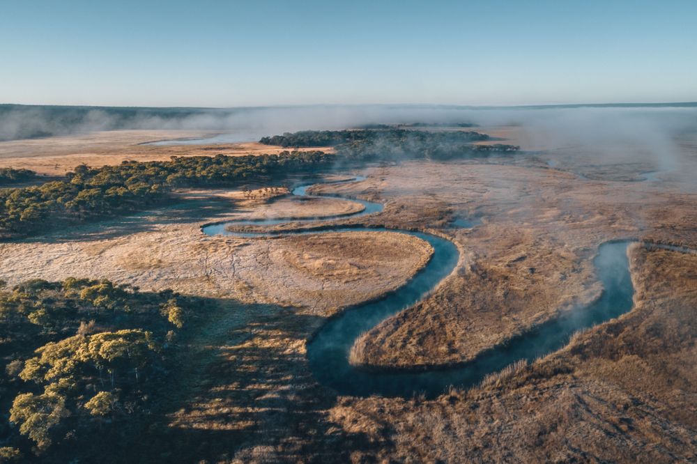An estimated 2.5 trillion gallons of water flow through the Okavango ...