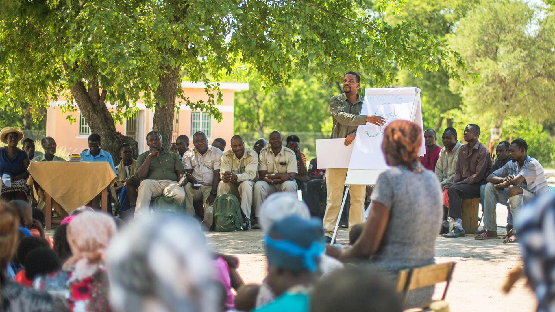 Echo in Botswana | Wild Impact