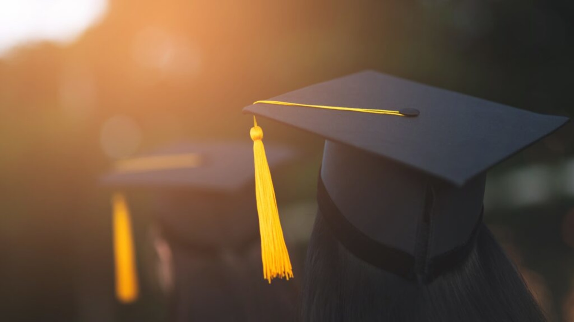 Tomorrow's Leaders | Wild Impact