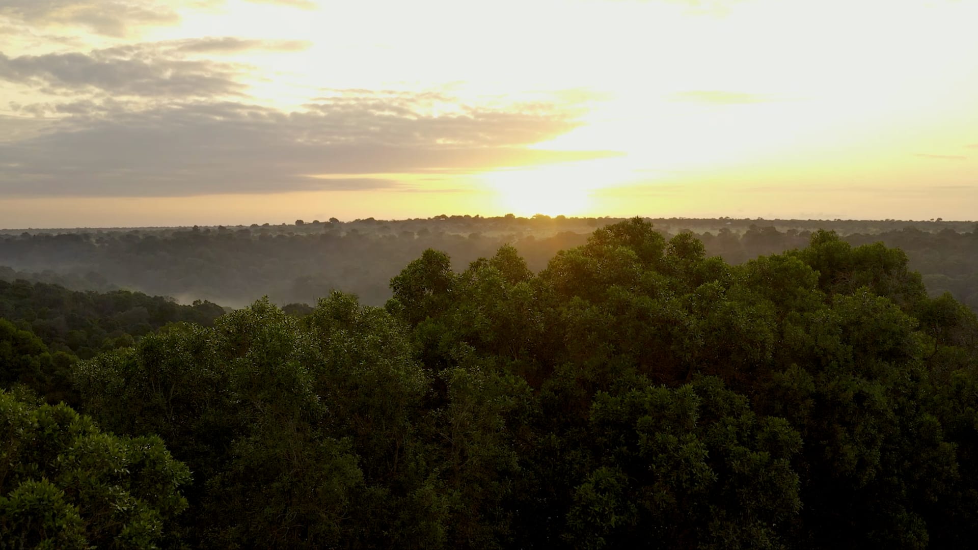 Wild Impact UK | Nurturing Resilient Communities & Conserving Wild Places