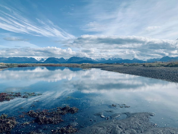 Autumn with a Side of Optimism | Wild Alaskan Company