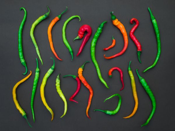 9 Spicy Seafood Recipes | Wild Alaskan Company