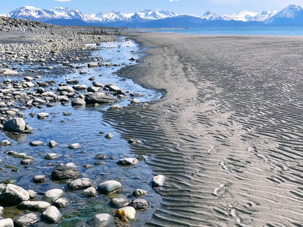 Springtime in Alaska | Wild Alaskan Company