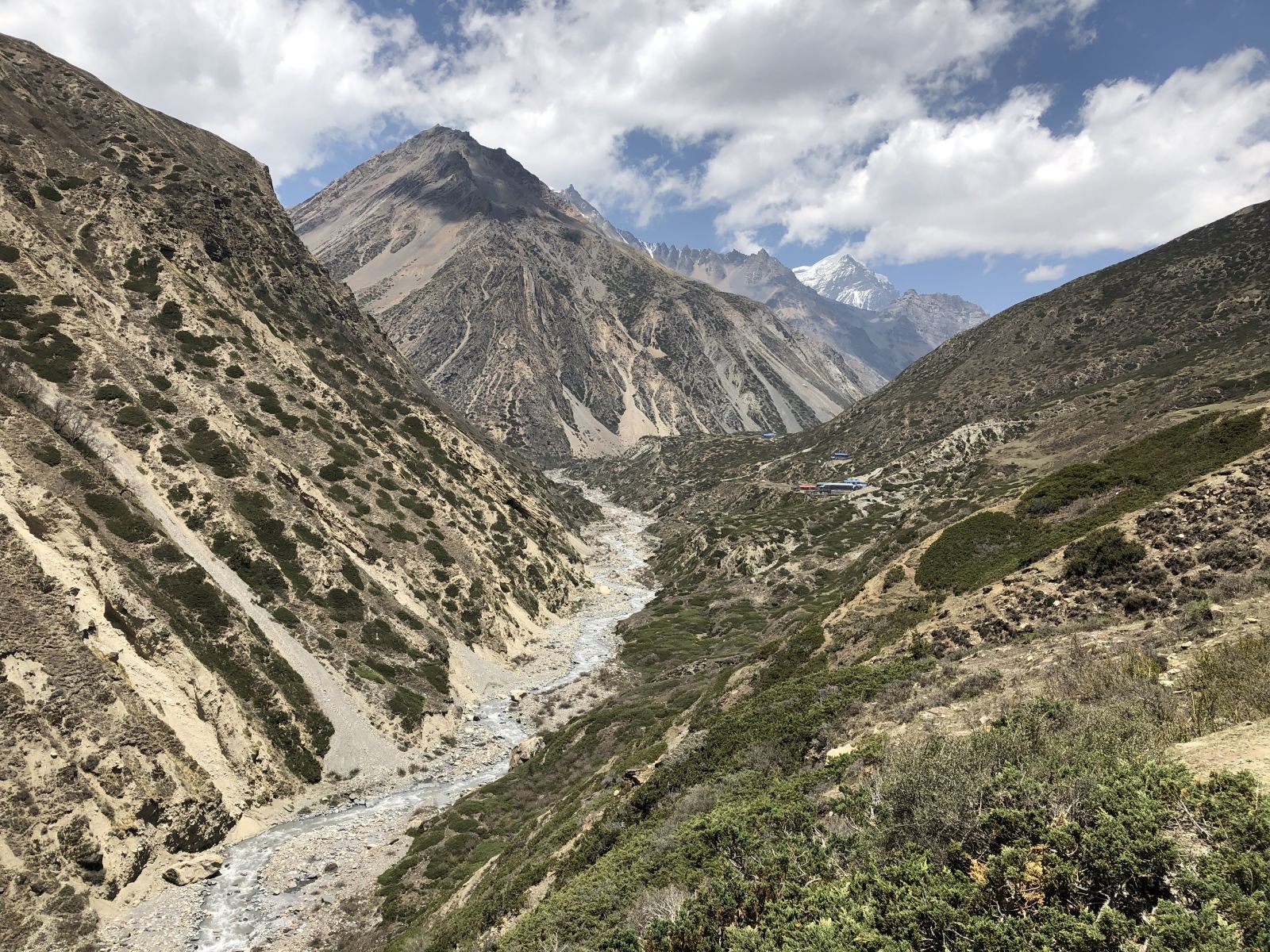 Day 9: Manang to Yak Kharka · Wilderness Prime
