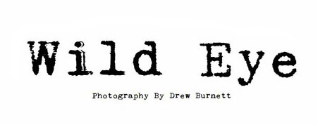 Wild Eye Photos