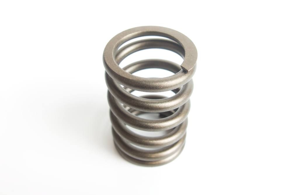 Wins International - Valve Spring