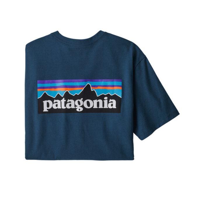 Must Have Patagonia Logo Tee Collection • Wanderlust Outfitters ...