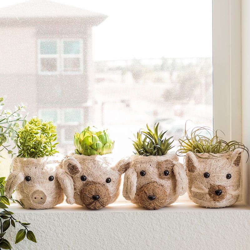 Mini Puppy Planter - Cute Dog Head Pot For Succulents | LIKHÂ | Wolf ...
