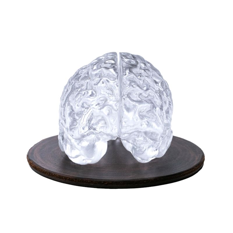 Glass Brain Sculpture | Roarcraft | Wolf & Badger
