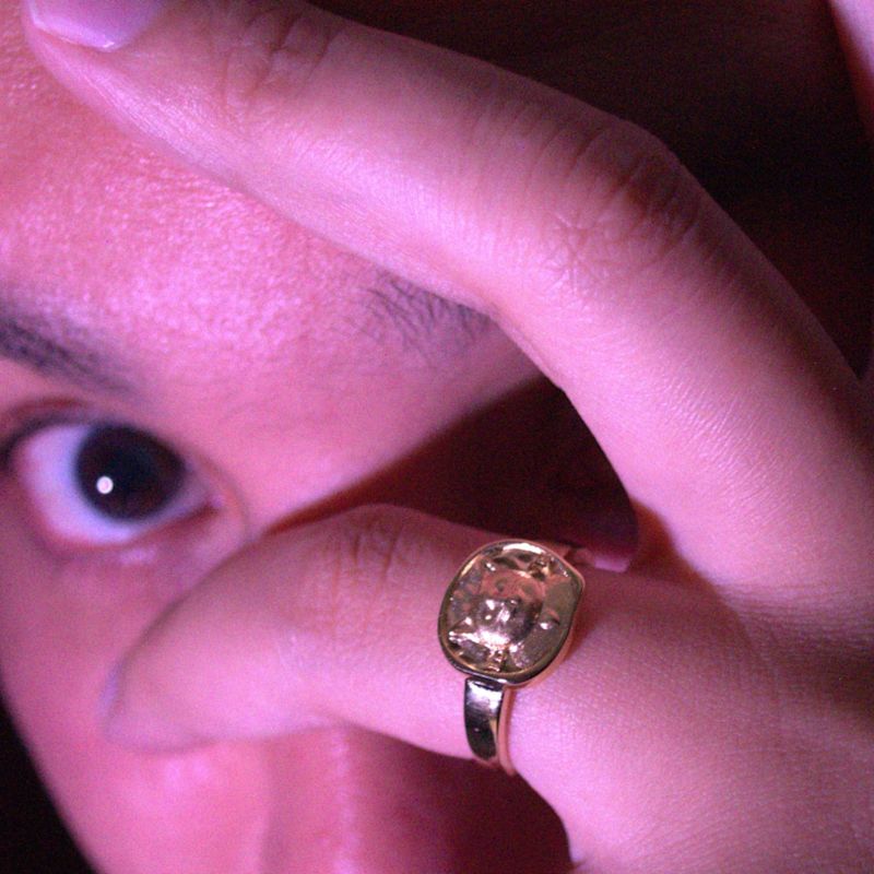 Gold Vermeil Lars Cat Coin Signet Ring | FRENVYRN | Wolf & Badger