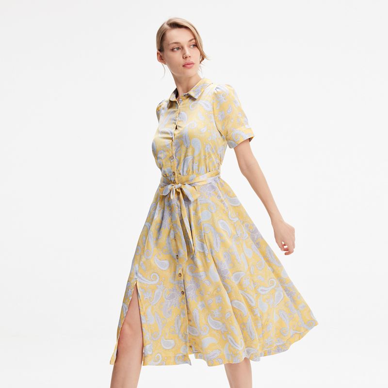 Graphic Print Satin Shirt Dress | Smart and Joy | Wolf & Badger