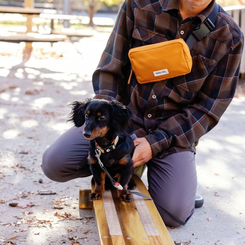 Hip Pack Aw Burnt Orange | MADE FREE | Wolf & Badger