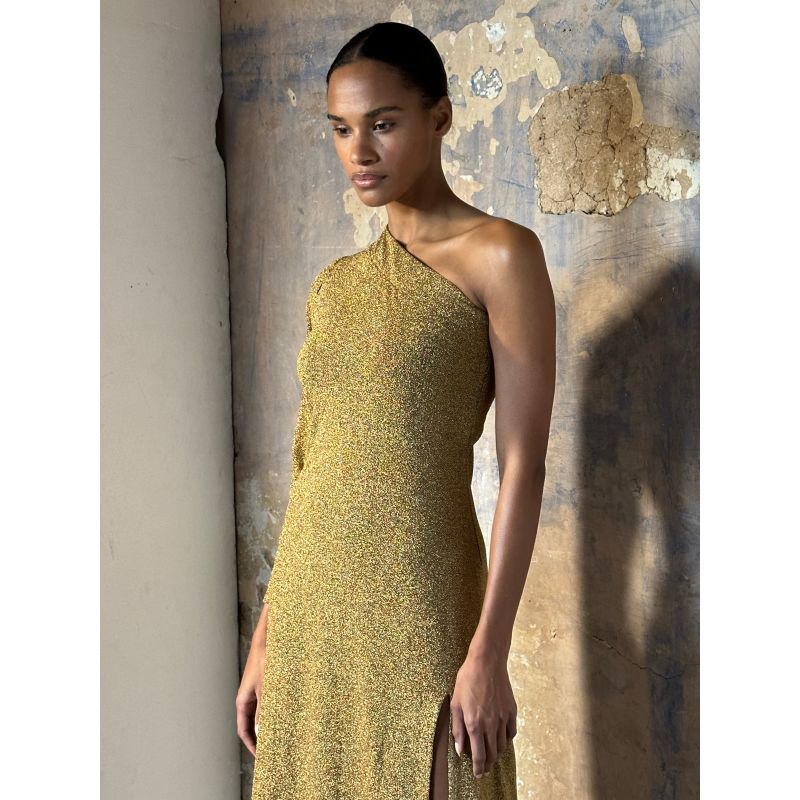 Shimmer Gold Smith Dress | Any Old Iron | Wolf & Badger