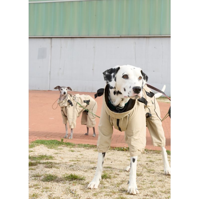 Fetch The Detachable Windbreaker For Dogs. | BRUNO'S SHOP | Wolf & Badger