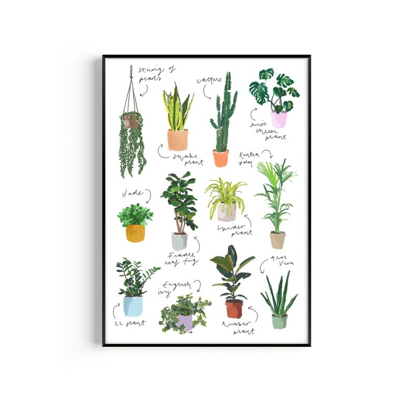 Plant Hand Painted Art Print - A3 | Natalie Cass Art | Wolf & Badger
