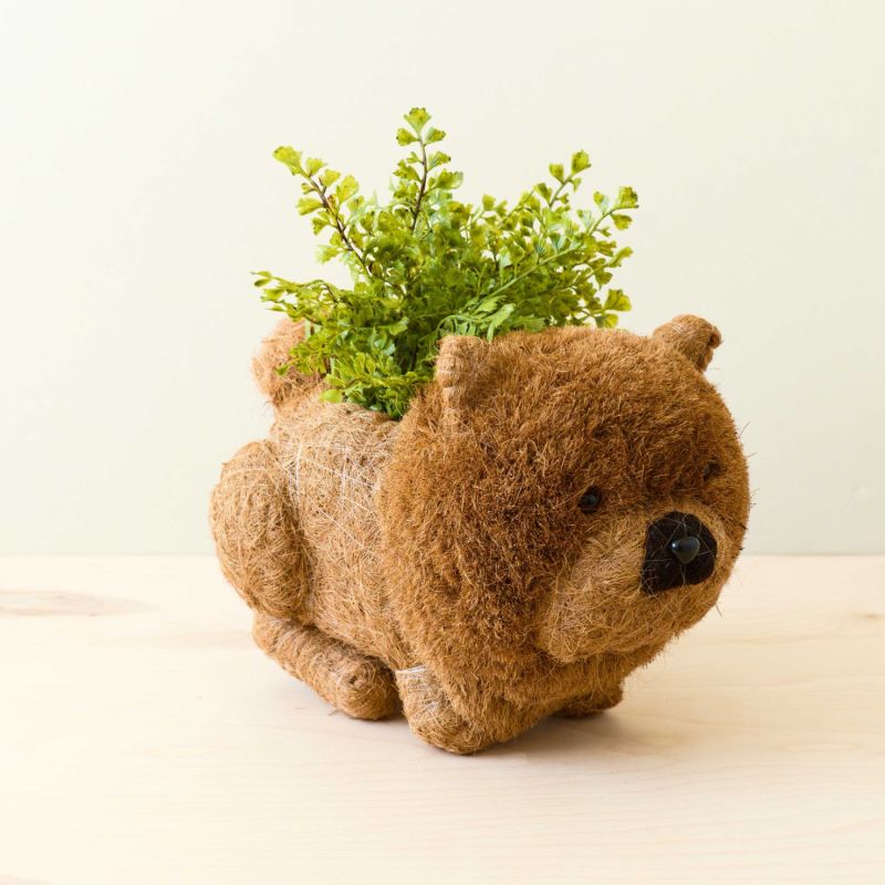 Chow Chow Planter - Dog Plant Pot | LIKHÂ | Wolf & Badger