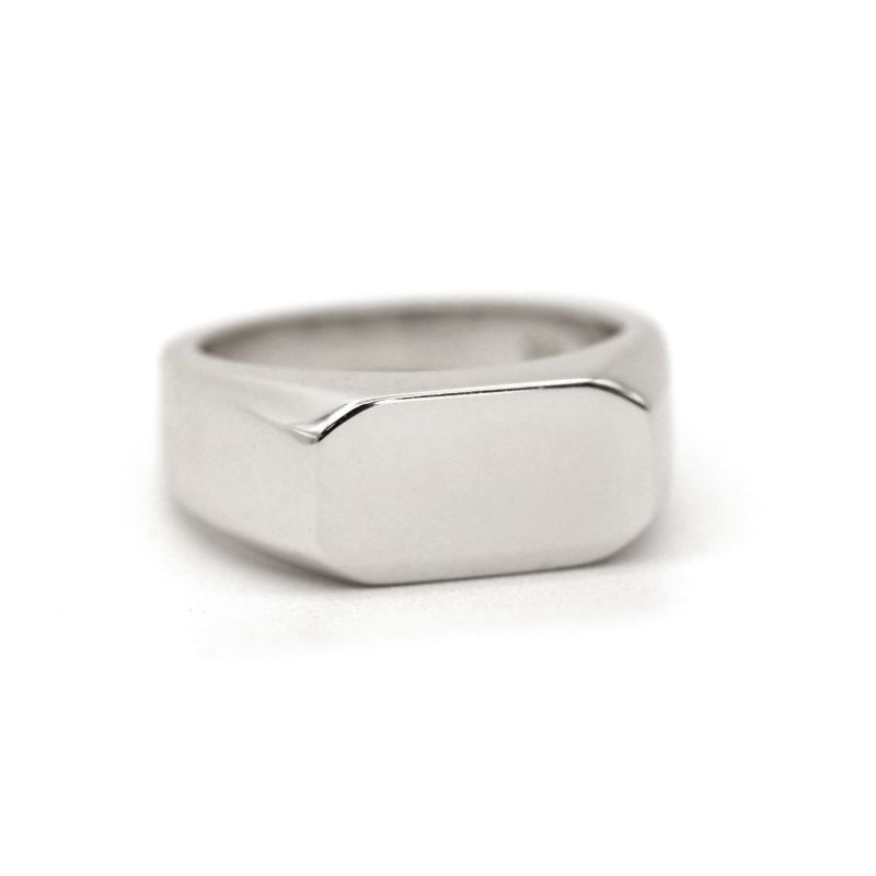 Handmade Bold Signet Ring For Men | VicStoneNYC Fine Jewelry | Wolf ...