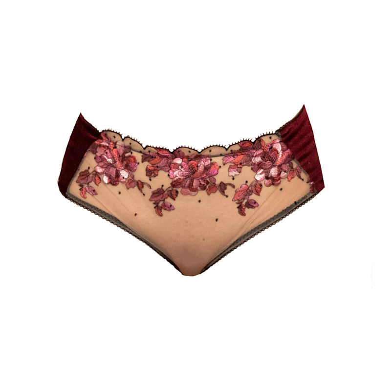 Blossom Embroidered Tulle & Velvet Sides Brief | Carol Coelho | Wolf ...