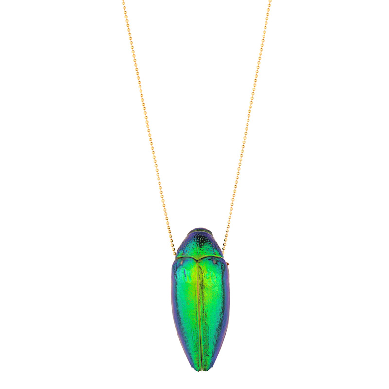 Scarab Gold Necklace And Real Beetle Insect Pendant | oanasavu ...