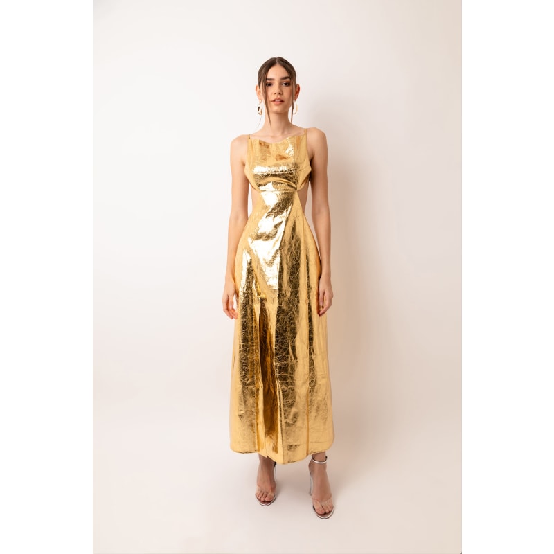 Jennifer Gold Metallic Maxi Dress | AMY LYNN | Wolf & Badger