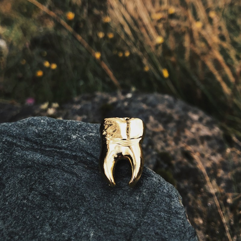 Golden Pin Tooth | Make Heads Turn | Wolf & Badger