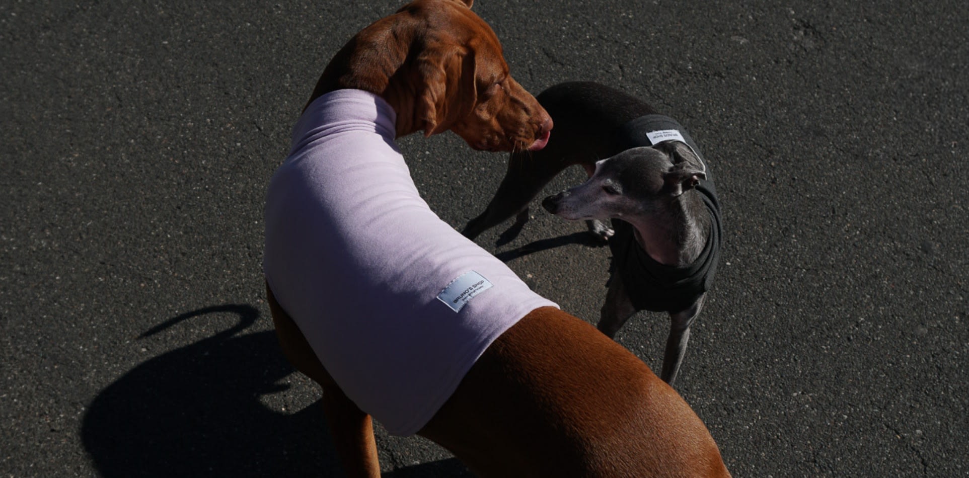 Fetch The Detachable Windbreaker For Dogs. | BRUNO'S SHOP | Wolf & Badger
