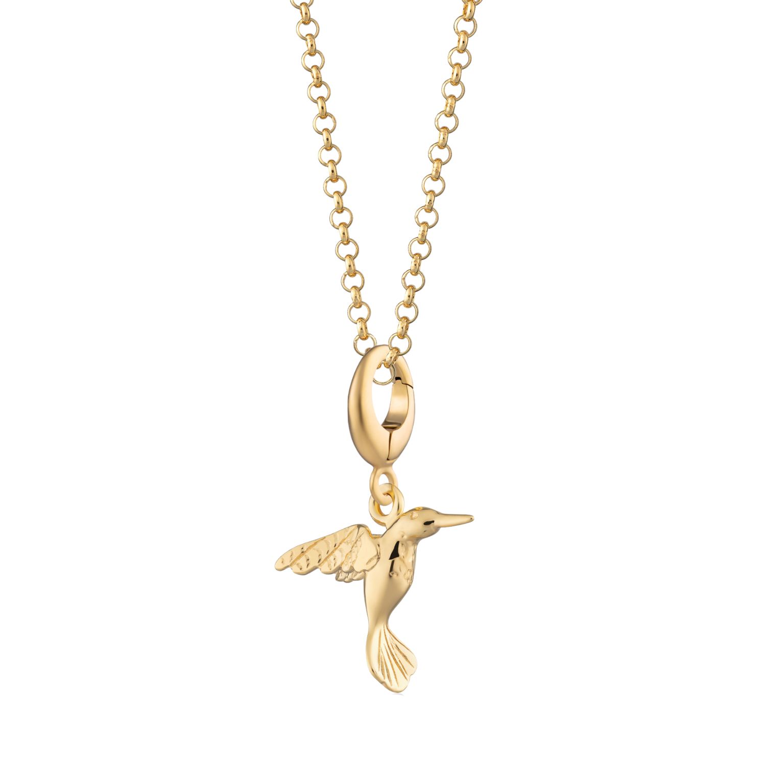 Gold Plated Hummingbird Charm Necklace | Lily Charmed | Wolf Gold Plated Hummingbird Charm Necklace | Lily Charmed | Wolf