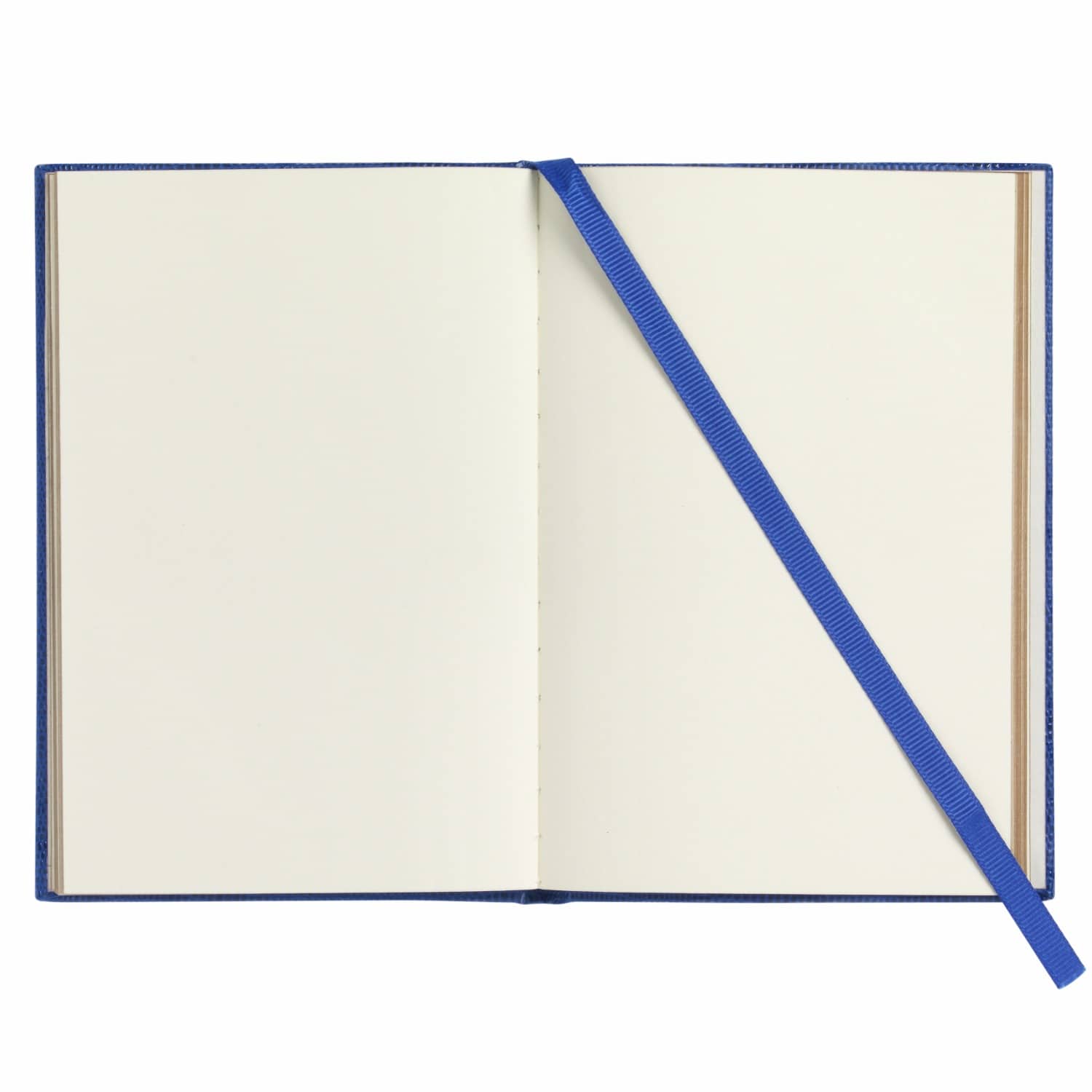 Busy, Busy, Busy Pocket Notebook | Sloane Stationery | Wolf & Badger