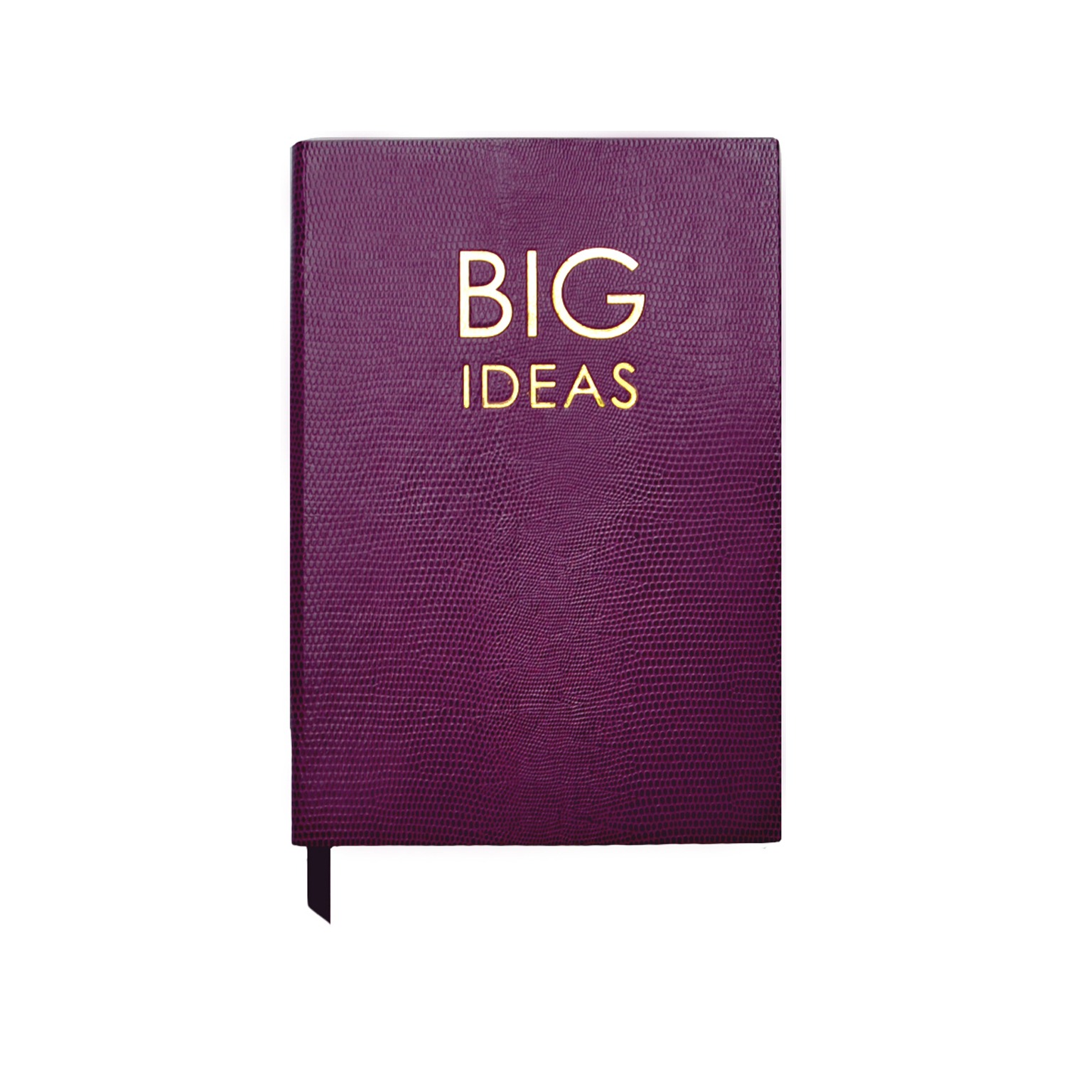 Big Ideas Notebook | Sloane Stationery | Wolf & Badger