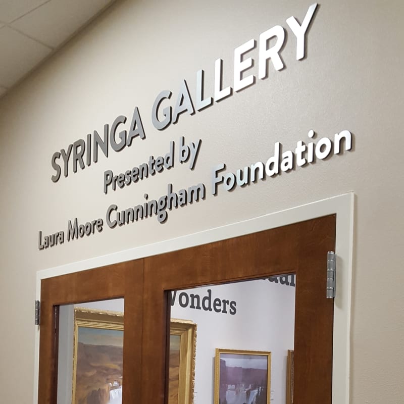 3D Dimensional Signs | Advanced Sign