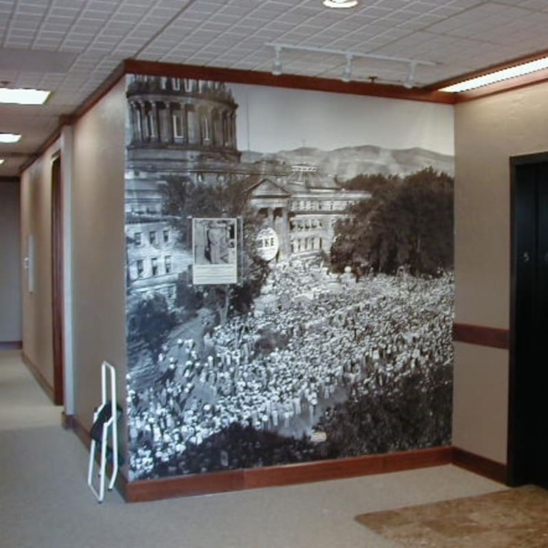 Custom Wall Mural - Wall Graphic Design | Advanced Sign