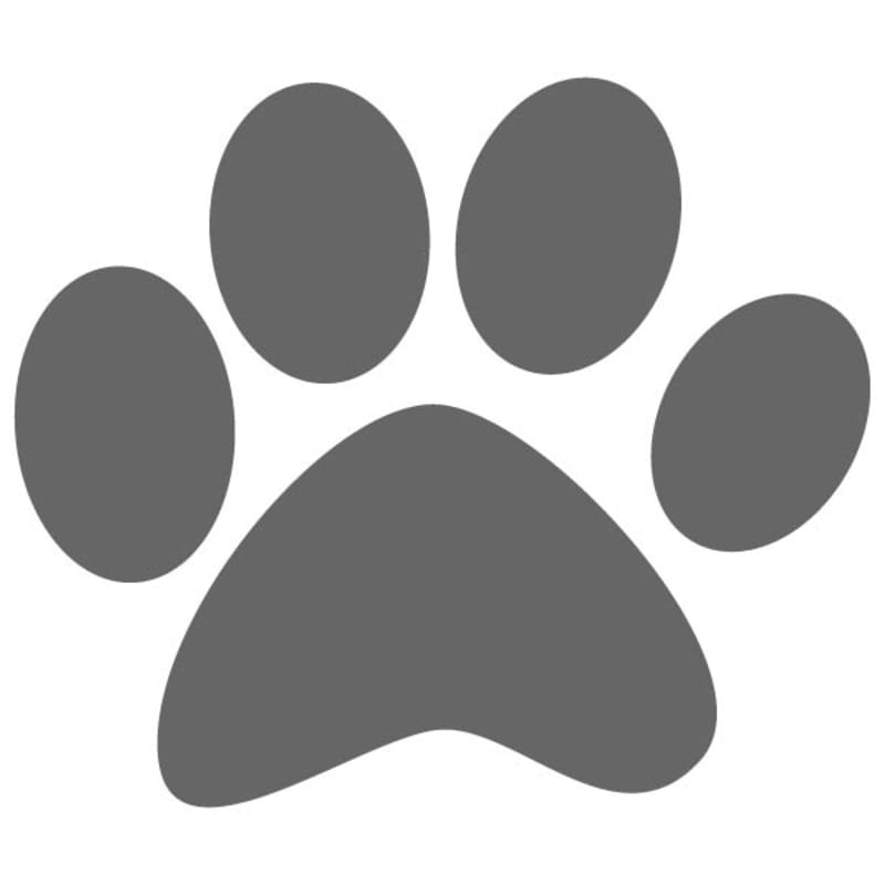 Cat Paw Craft Shape | Craftcuts.com