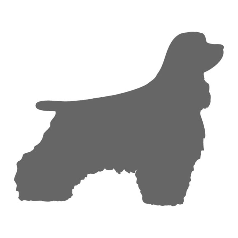 Cocker Spaniel Craft Shape | Craftcuts.com