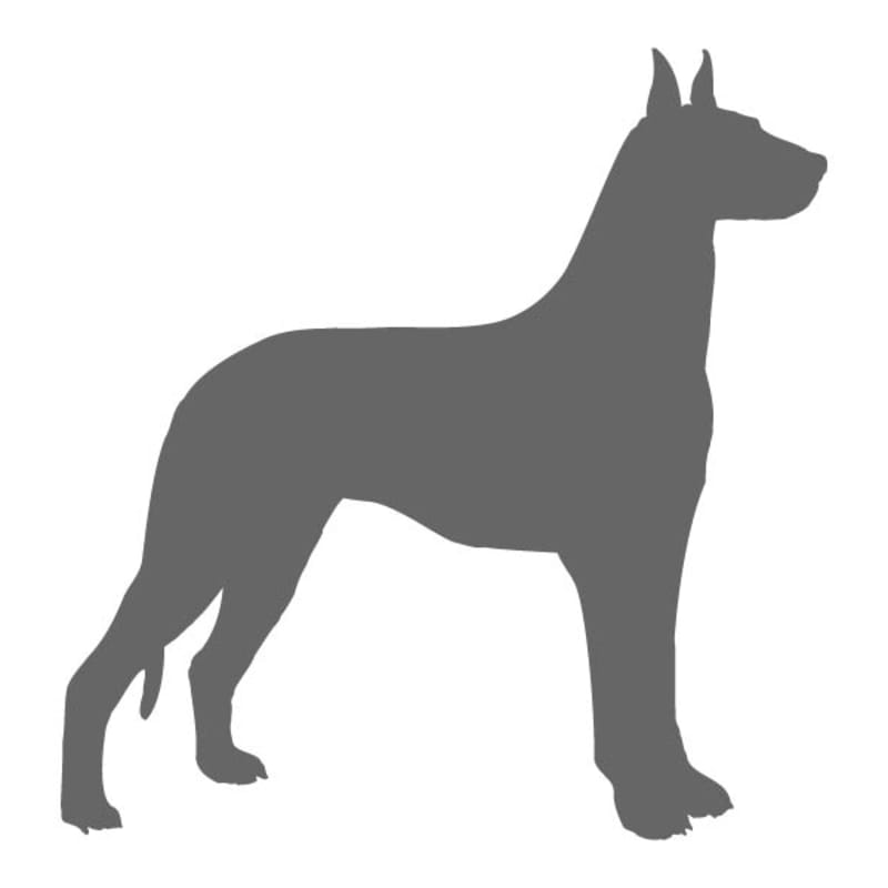Great Dane Craft Shape | Craftcuts.com