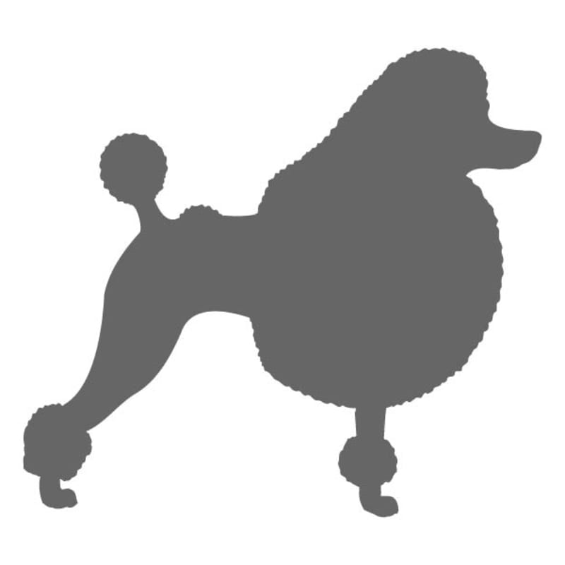 Groomed Poodle Craft Shape | Craftcuts.com
